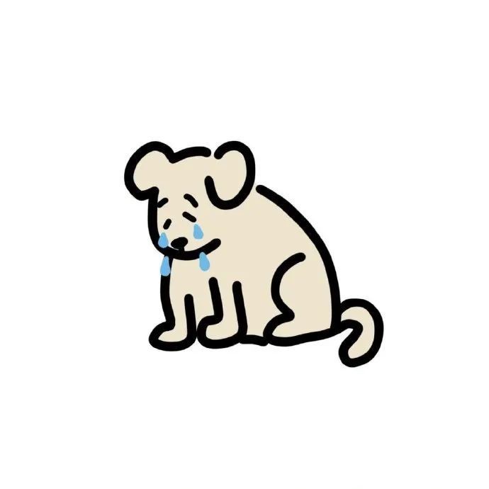 本人发红包 