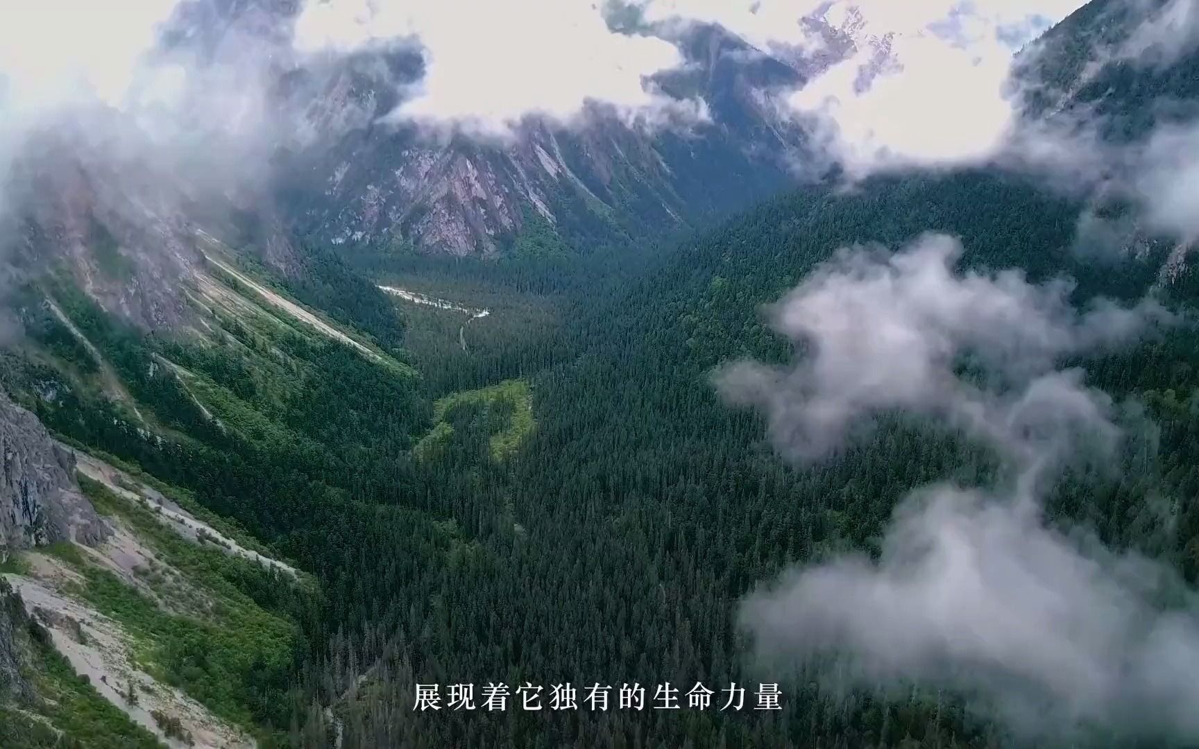 保护生物多样性主题宣传片—四川篇