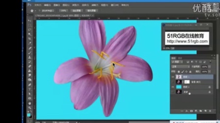 photoshop零基础入门:ps全面掌握photoshop蒙版应用 下 51rgb出品