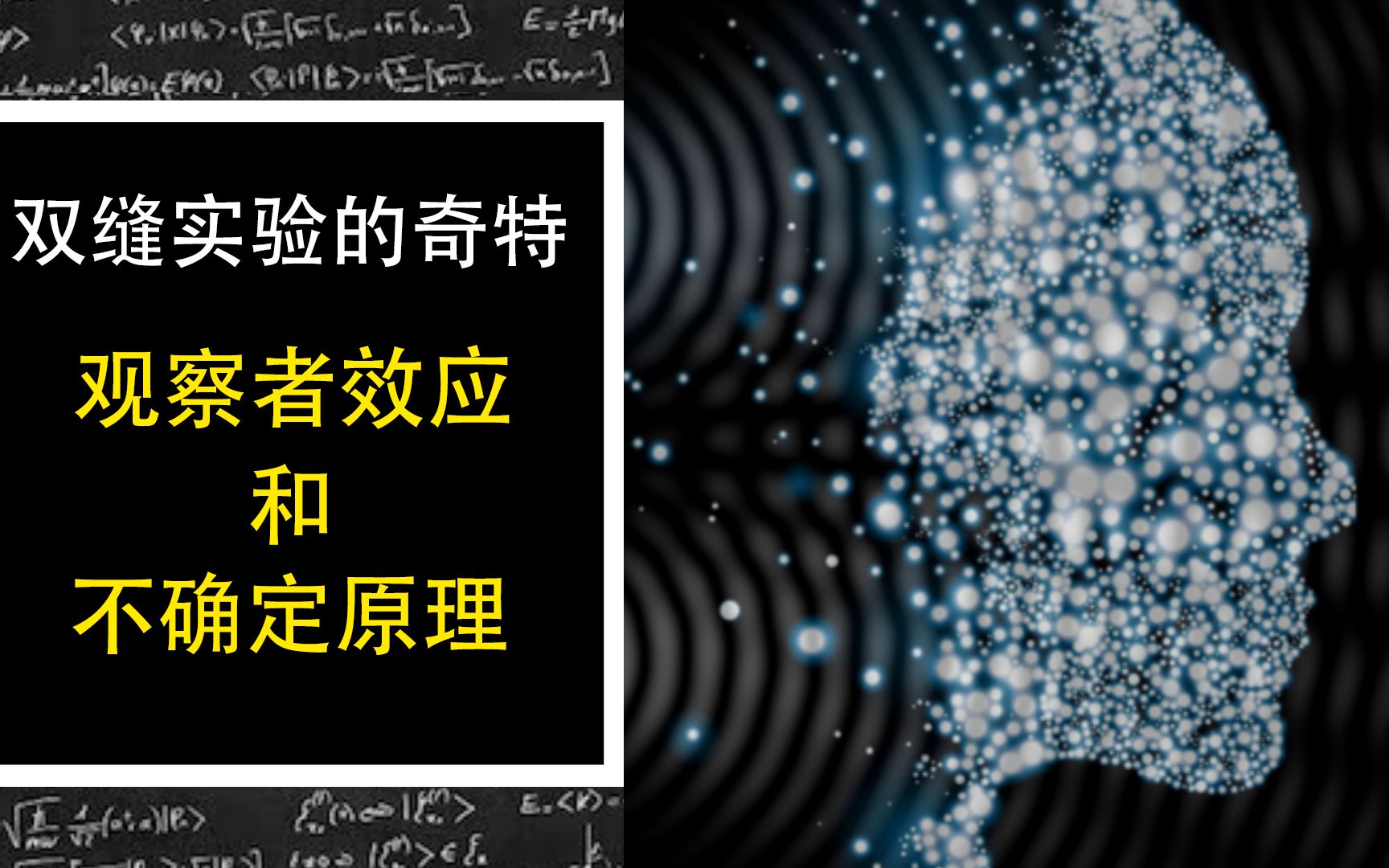 【费曼物理学6-4】双缝实验的奇特 观察者效应和不确定原理