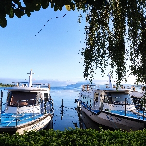 喝茶看书写代码 