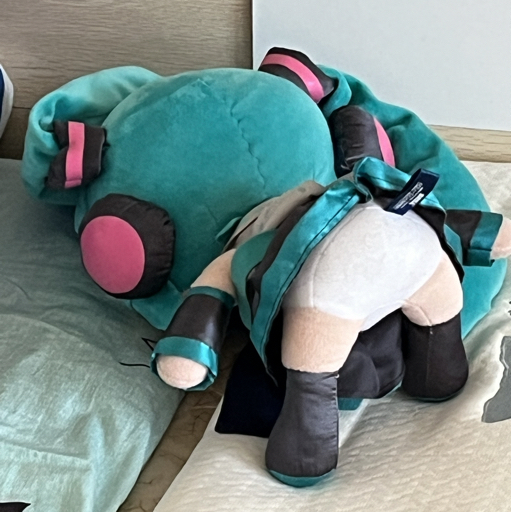 Erio入水的艾莉欧 