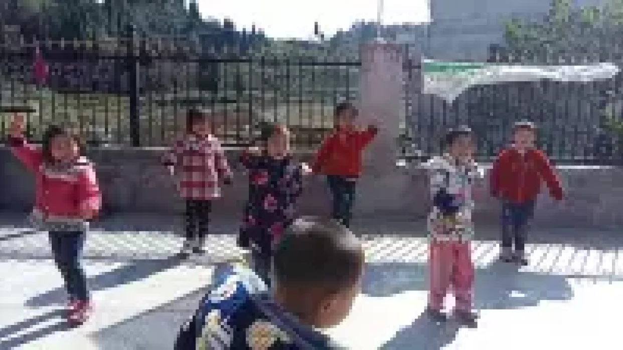 古诗〖江畔独步寻花〗手势舞。幼儿园大班。