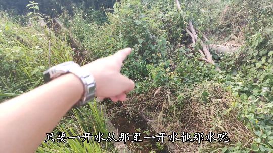 如今的农业,不像以前那么的辛苦,简直是太方便了!