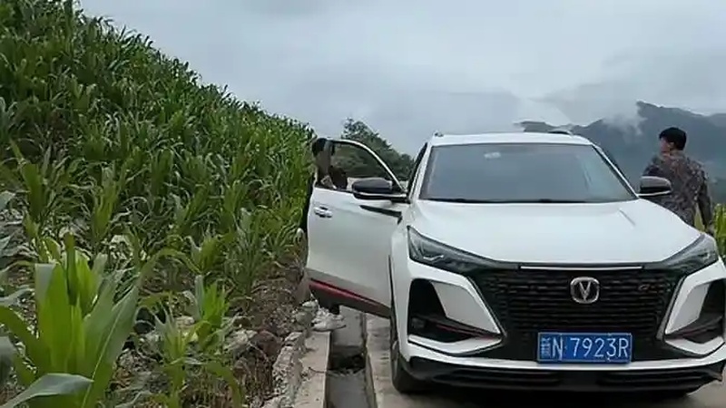 白色的小车一开要去哪里