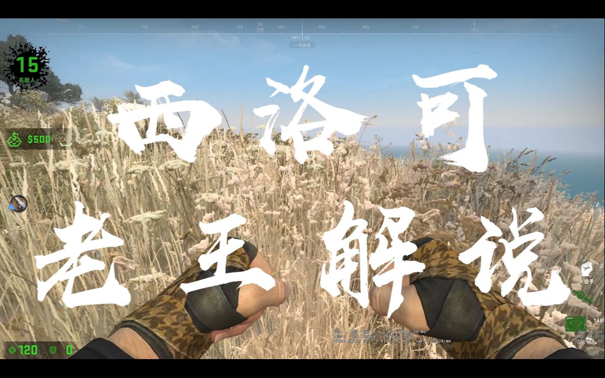 【CSGO头号特训】整场!新手向!No.1西洛可!老王解说老王!
