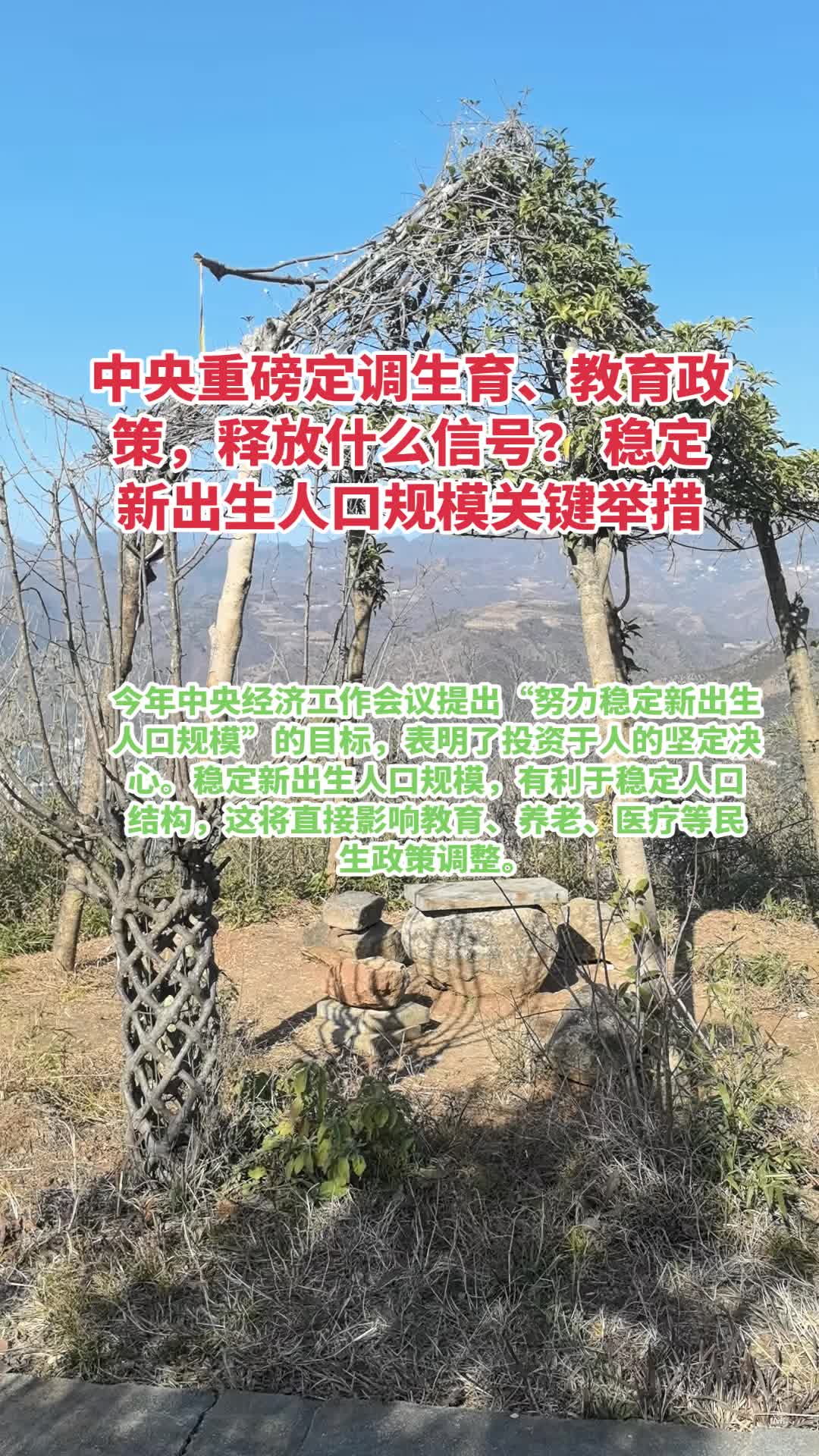 中央重磅定调生育、教育政策,释放什么信号? 12月10日至11日,中央...