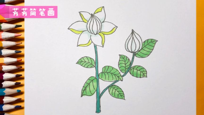 儿童益智简笔画启蒙,花卉系列,一束漂亮栀子花,闻到花香了么?