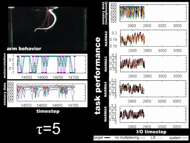软机器人的计算潜力