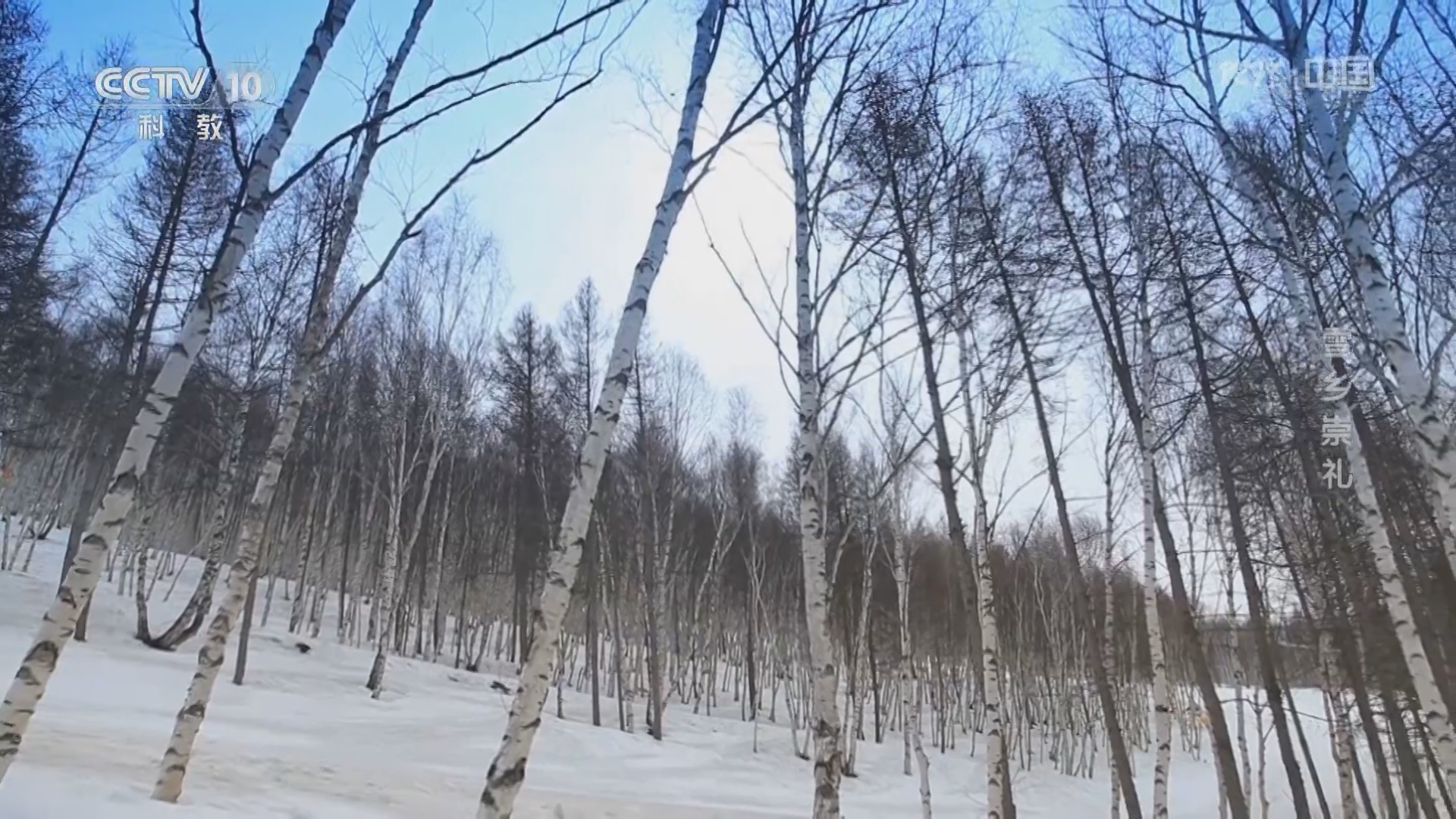 [地理·中国]崇礼丰富的水网系统如何形成