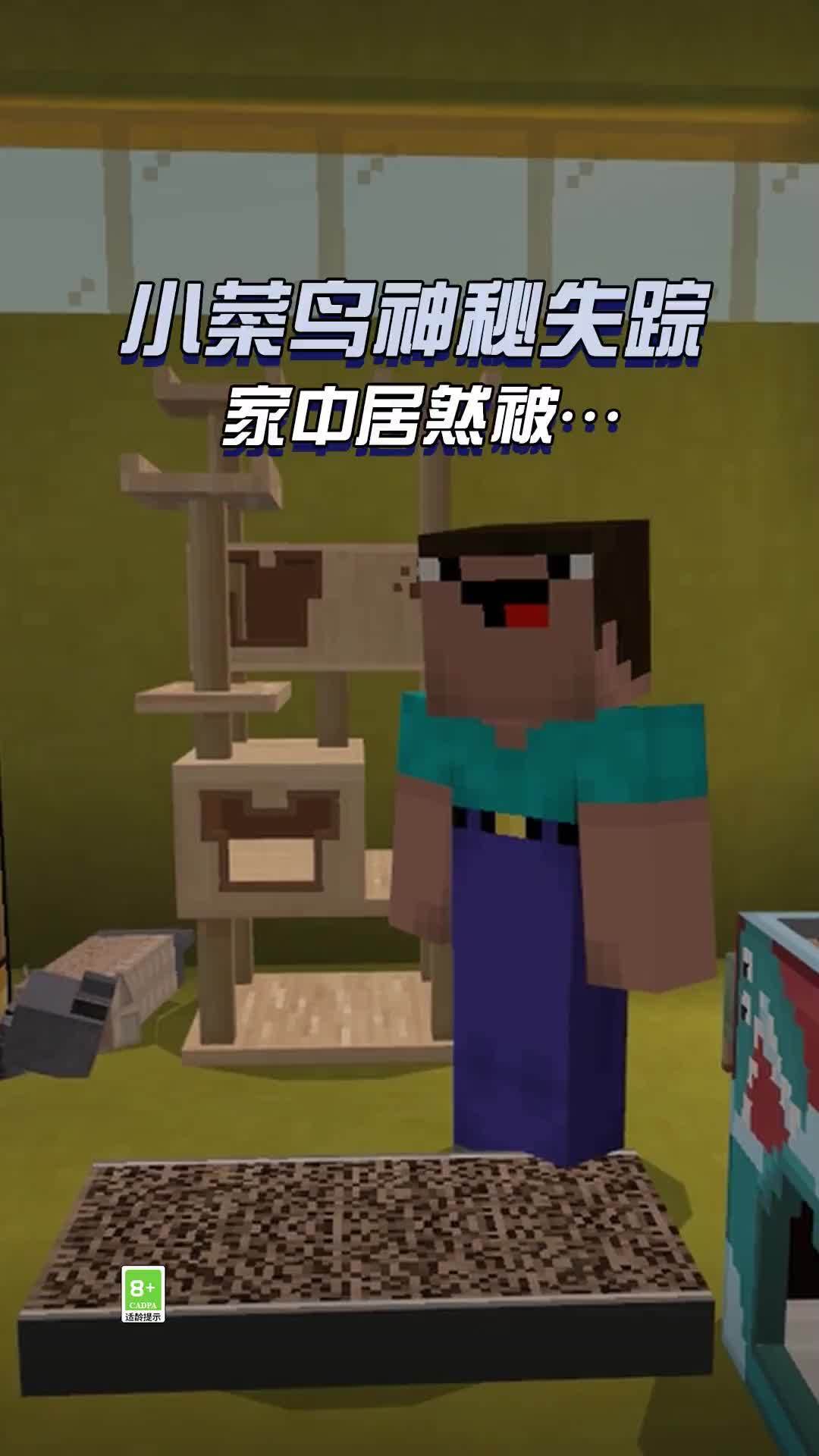 #我的世界 方块世界居然有猫爬架?小菜鸟一键开启云养猫~