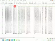 WPS表格常用功能键操作高亮重复项、身份证文本筛选,排序