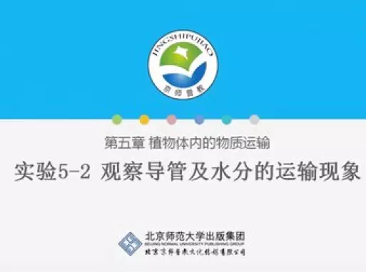 生物5-2 观察导管及水分的运输现象