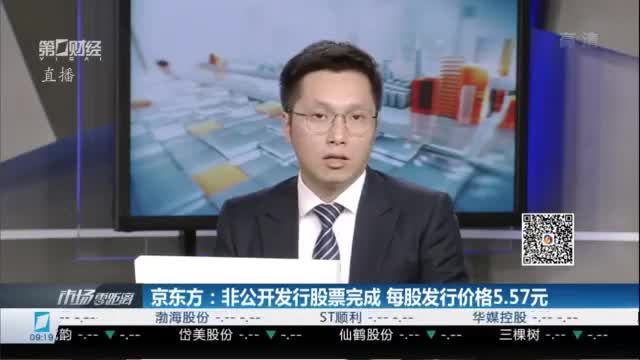 京东方:非公开发行股票完成 每股发行价格5.57元