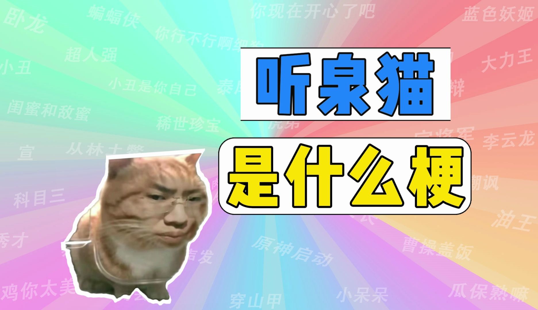 听泉猫是什么梗?是什么梗?是什么梗?