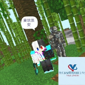 麦块浪安 