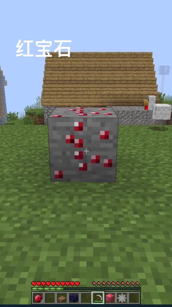 我的世界:那些被移除的物品