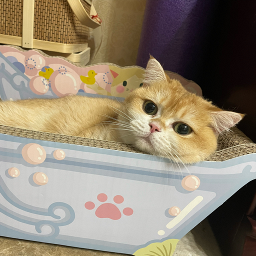 苡药 
