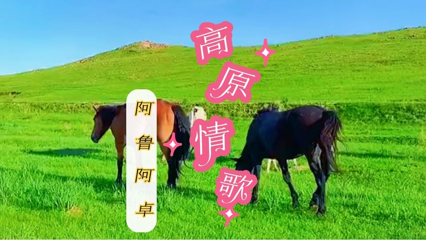 《高原情歌》阿鲁阿卓用高亢而深情的嗓音,唱出高原的美