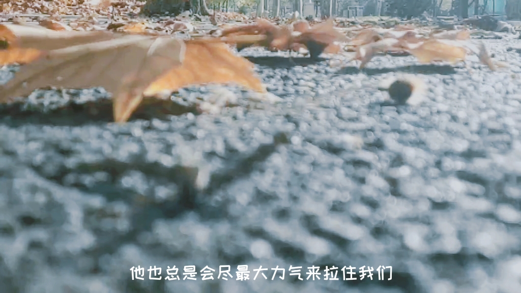 你心中的大学是什么样子呢￤来谈谈你对你大学的印象吧