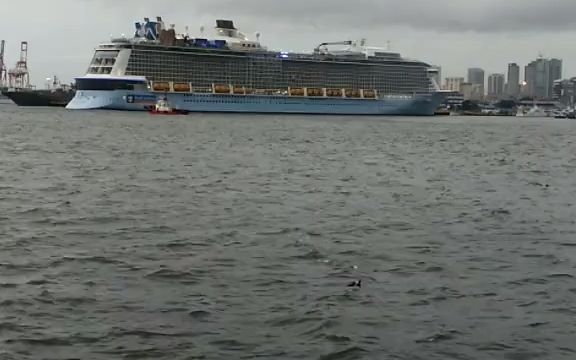 国际航线豪华邮轮靠港中
