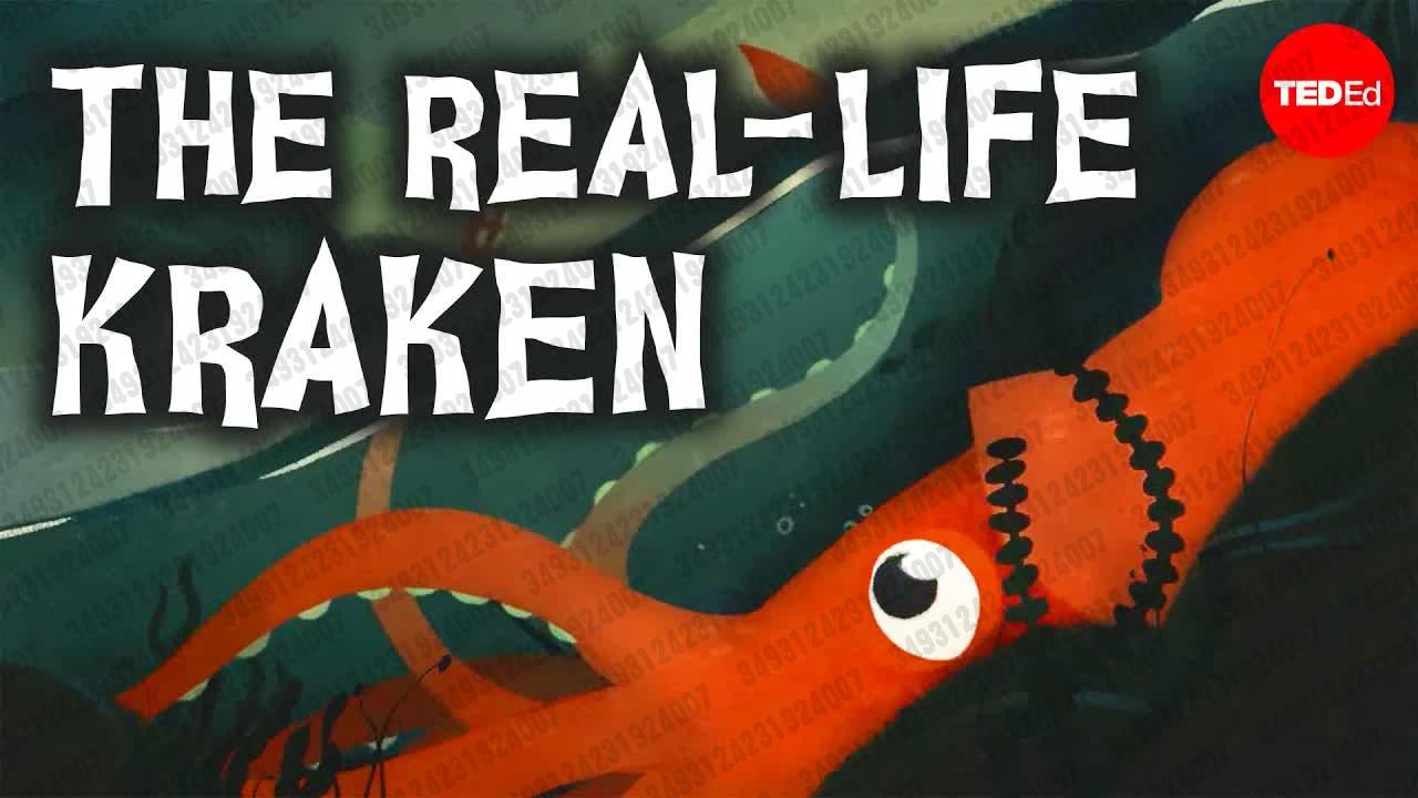 2024.09.26 【TED-Ed】为什么花了这么长时间才找到巨型乌贼?——...