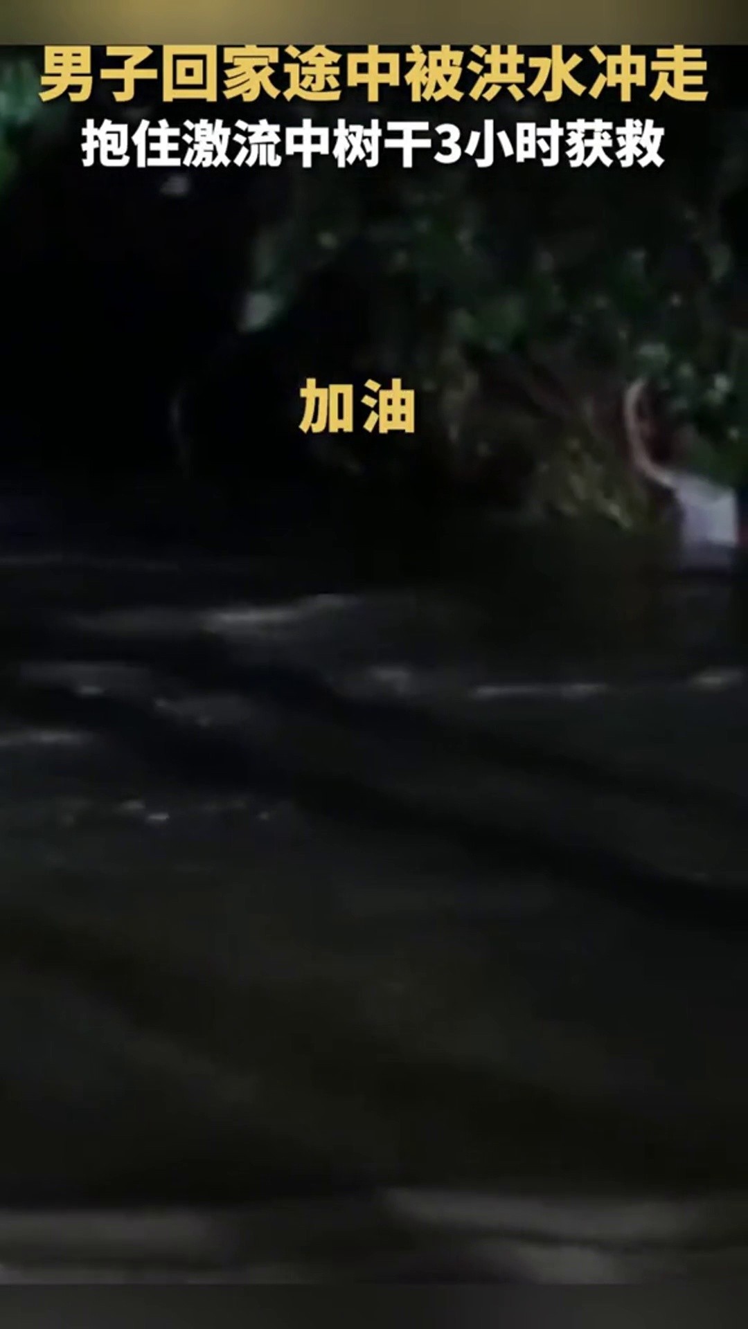 男子回家途中被洪水冲走,抱住激流中树干3小时获救