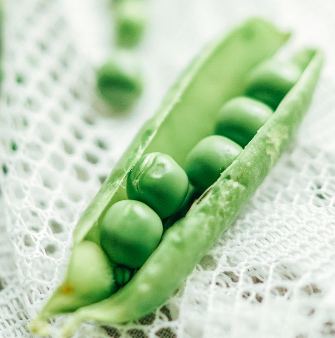 跟着老妈有饭吃 