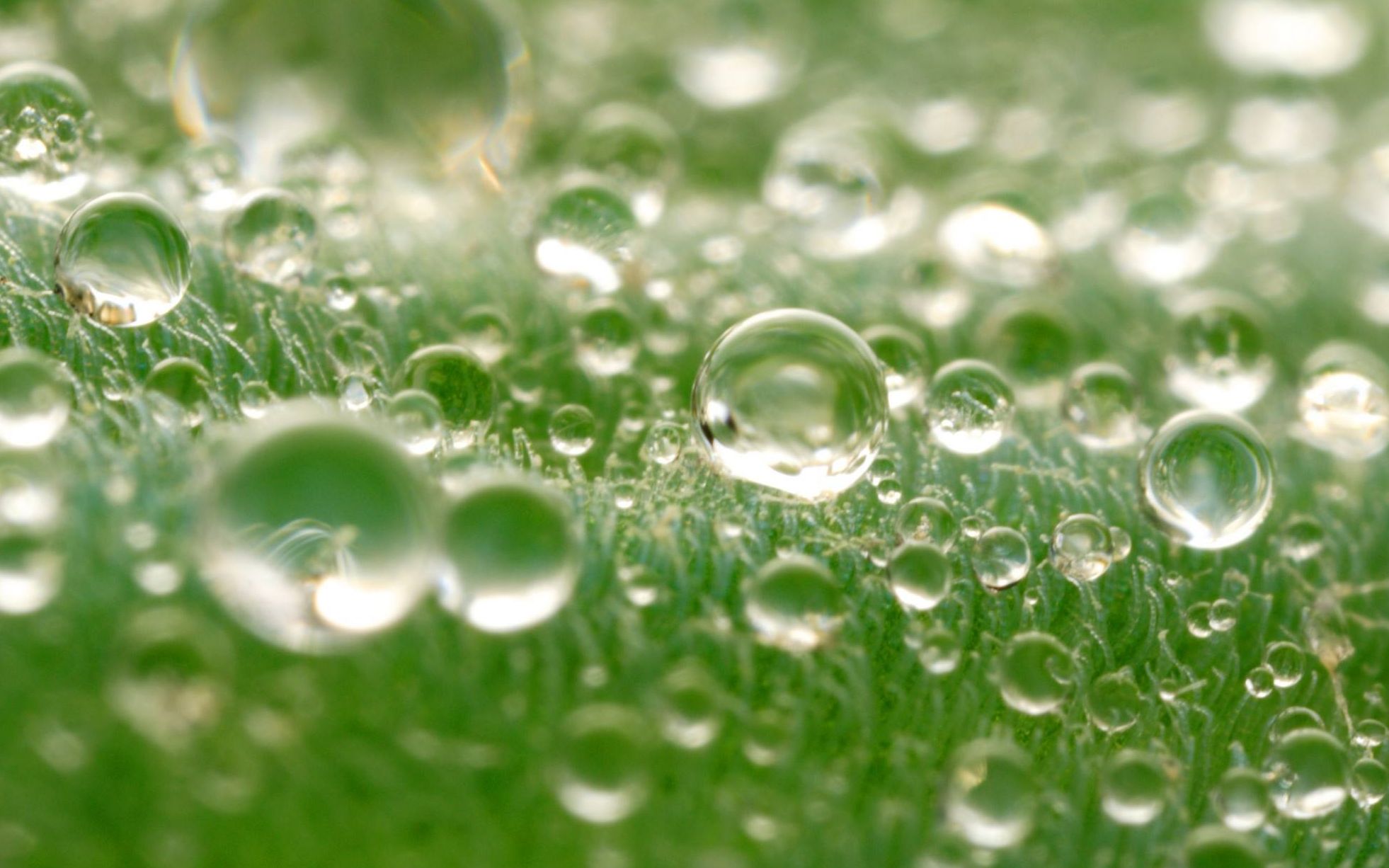 我的手机进水了还能用,你信吗?