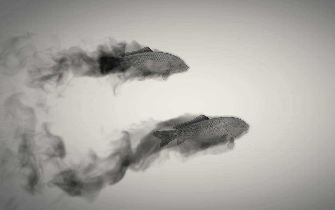 C4D进阶案例—中国水墨鱼动画解析(1)