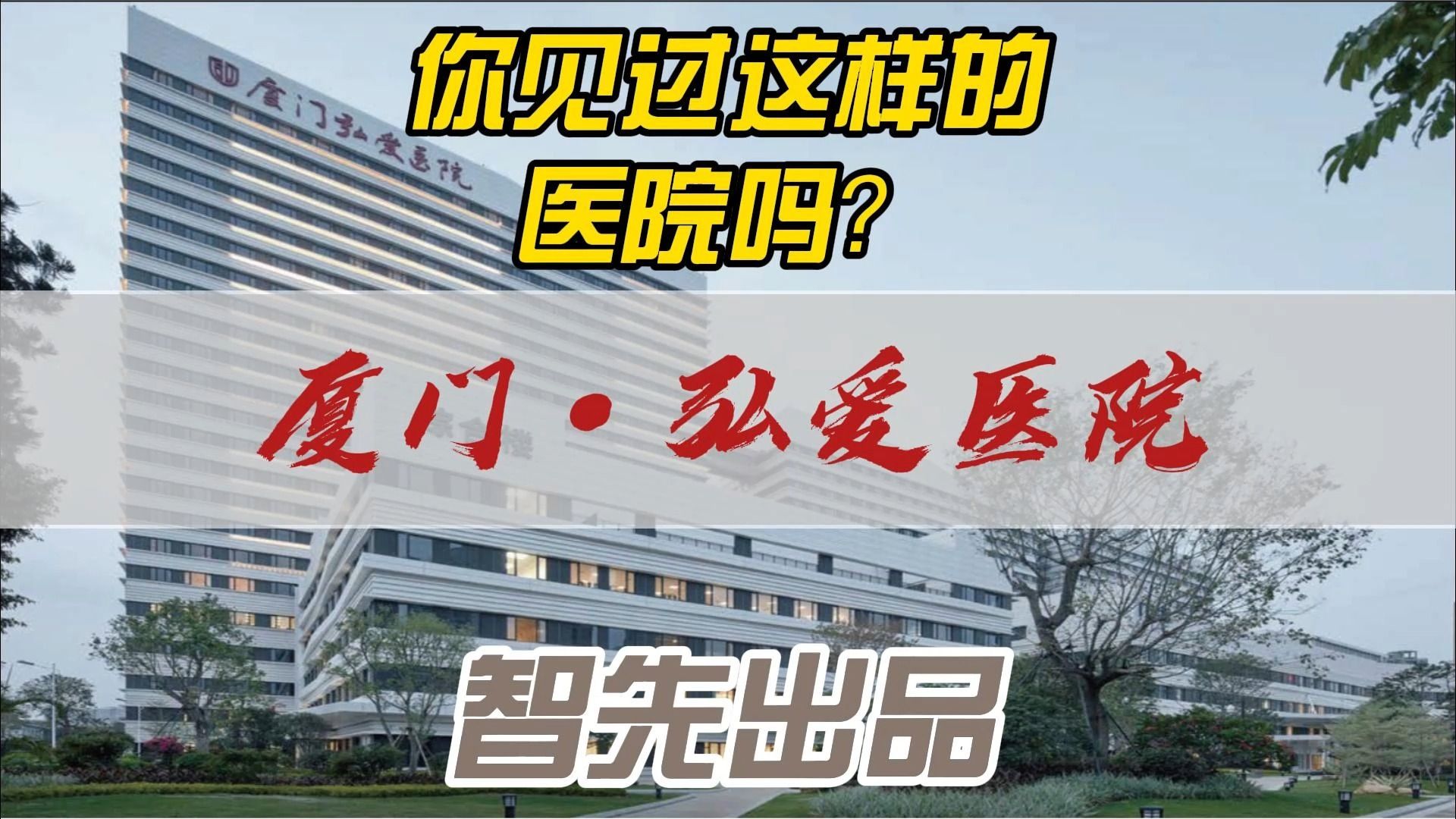 你见过这样的医院吗?