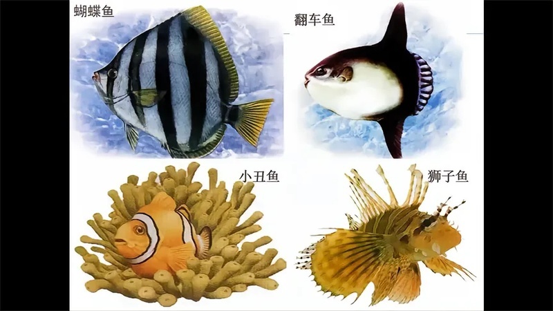微课堂小班美术《"鱼"众不同》幼儿园小班美术挤压画下学期活动