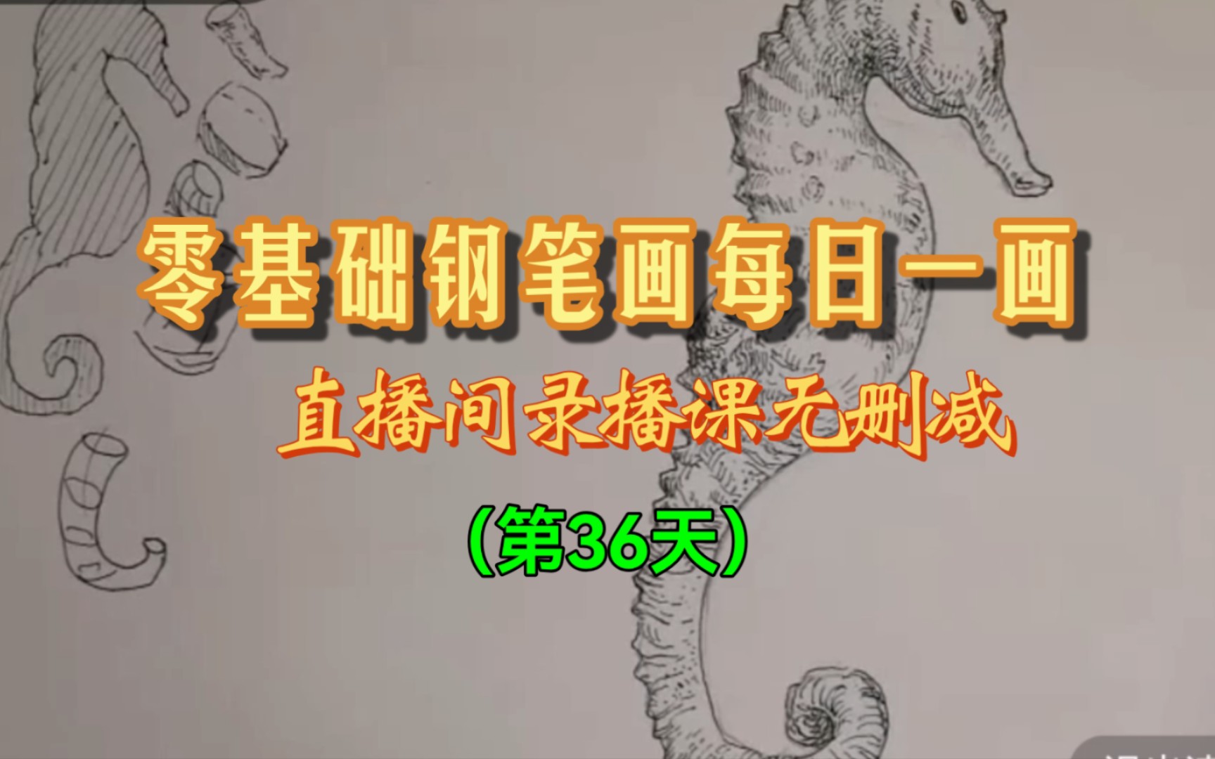 画只小海马“零基础钢笔画每日一画第三十六天”(直播间录播课无删减)