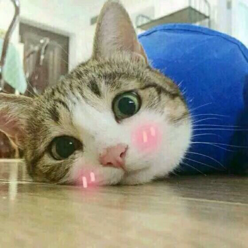 李大白er小胖手 