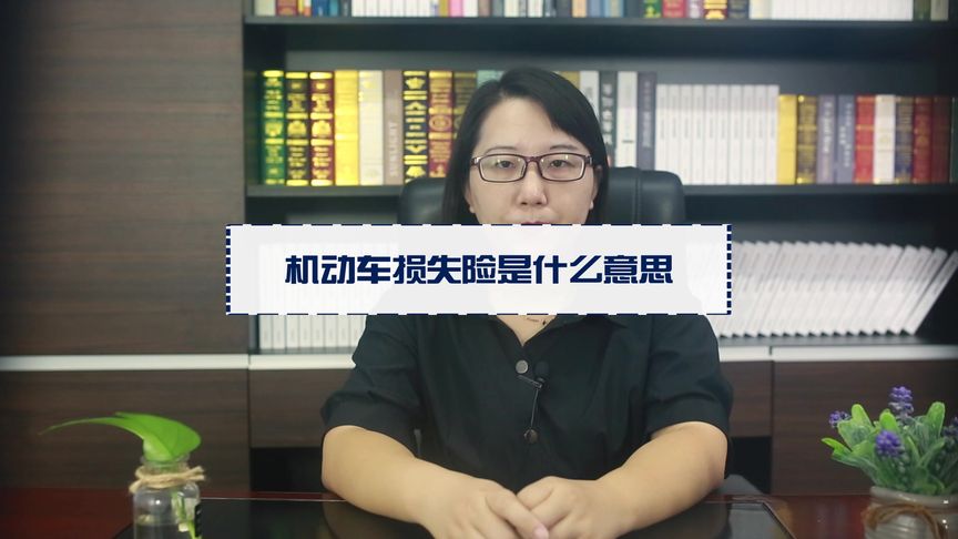 机动车损失险是什么意思