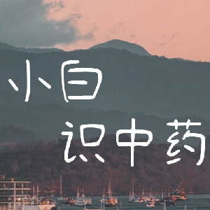 小白识中药 