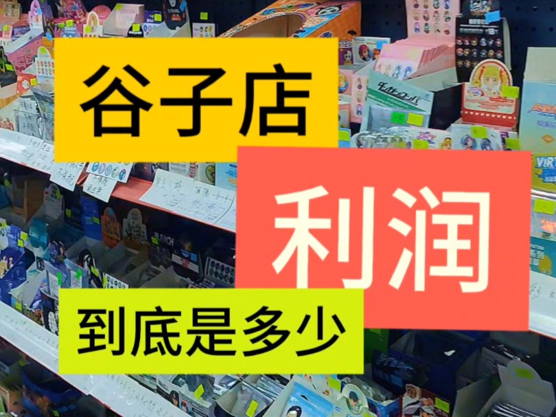 开谷子店的利润是多少