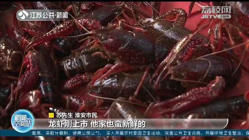 尝鲜阶段价格60元一斤!时令美食上市,洪泽湖地产小龙虾来了