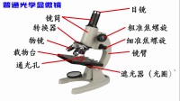 初中生物实验——认识显微镜的基本结构