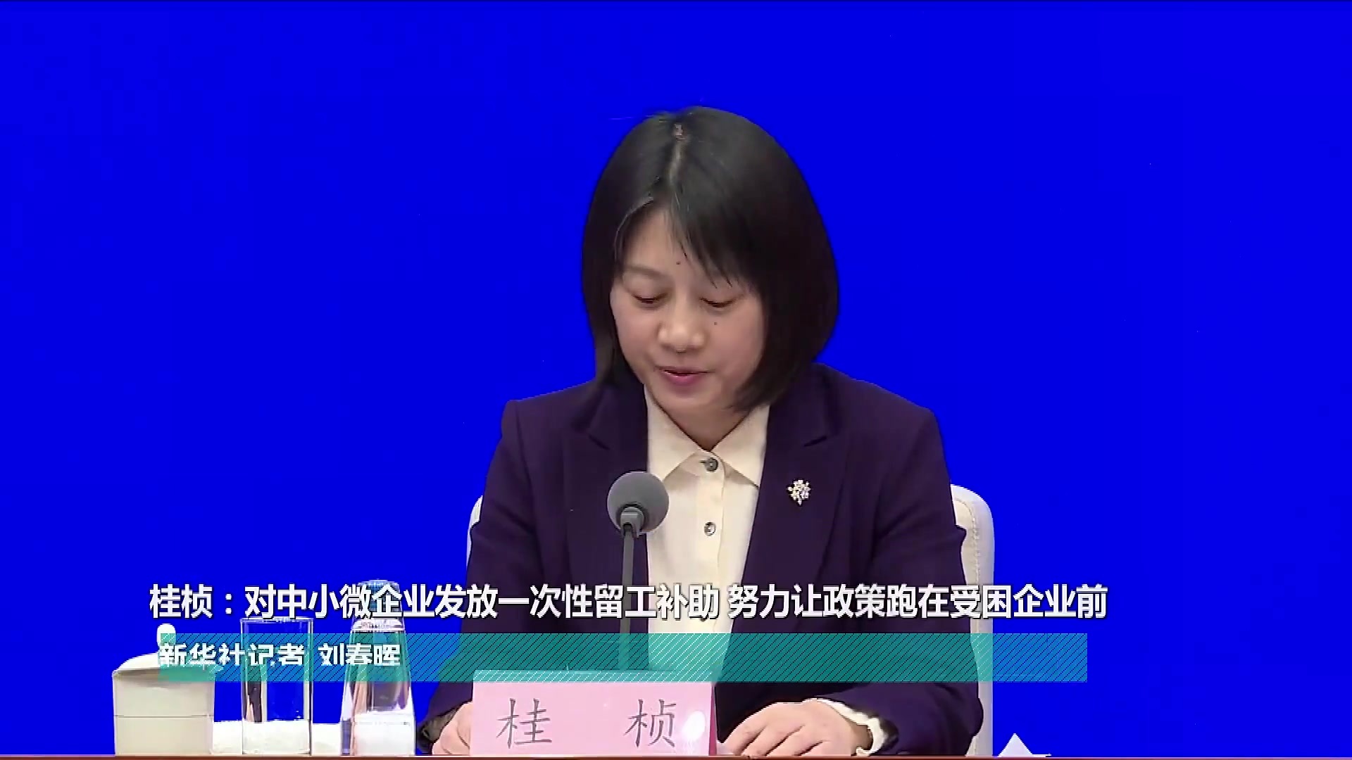 桂桢:对中小微企业发放一次性留工补助努力让政策跑在受困企业前