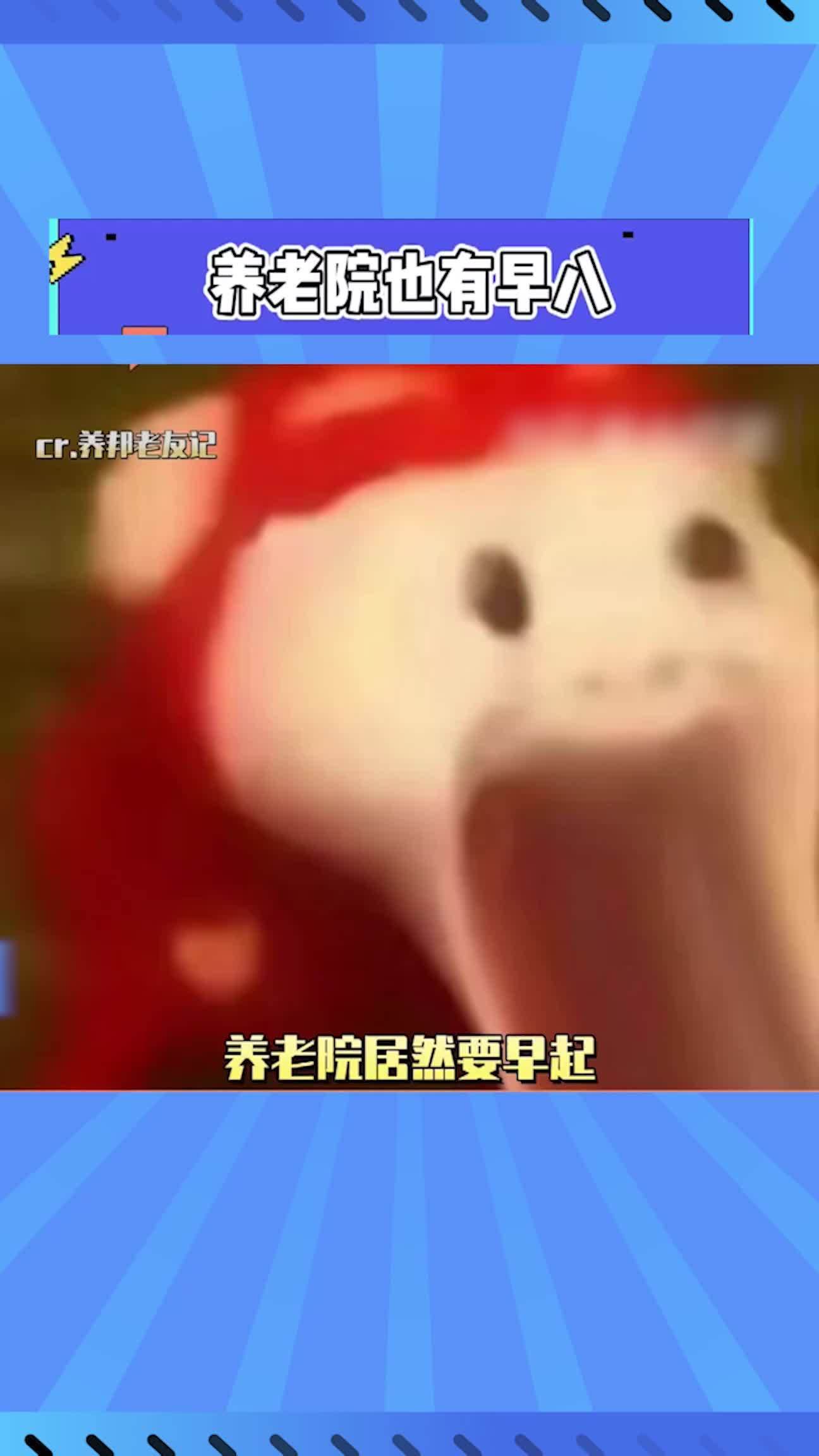 大学生最新创业项目:不用早起的养老院