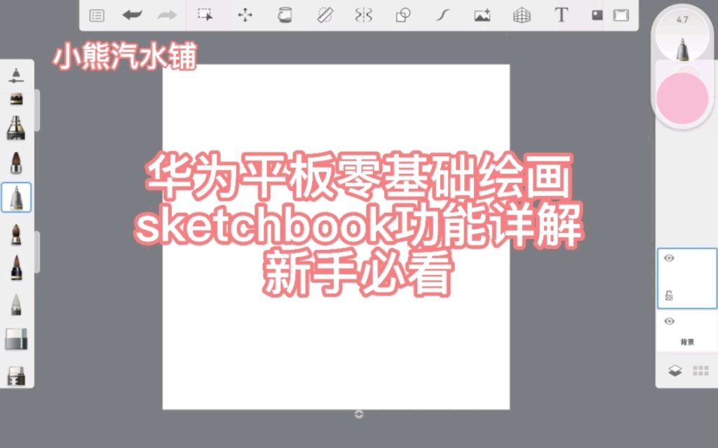 【平板绘画】sketchbook零基础详解|新手必看