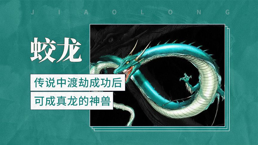 蛟龙——传说中渡劫成功后可成真龙的神兽