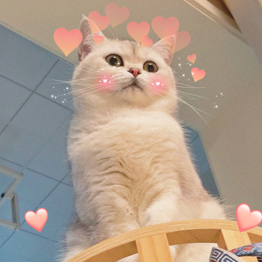 斑鸠斑鸠_ 