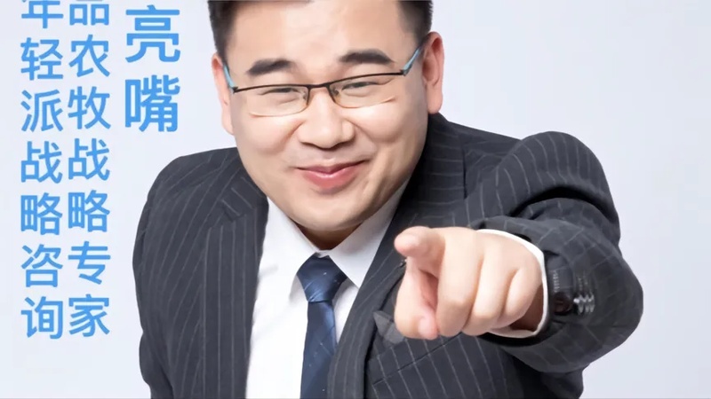 陈亮嘴战略说3,大食品农业农牧深度产业品牌策划咨询营销公司