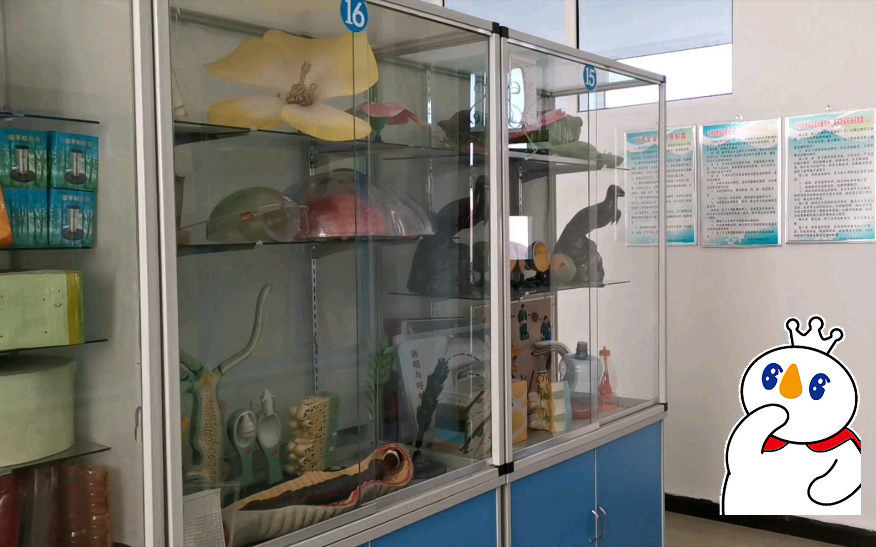 给你看看农村初中的高大上的生物实验室装备,配套设施齐全