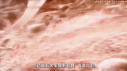 从"小蝌蚪"到人类生命诞生的奇妙旅程!生命的诞生怀孕计划