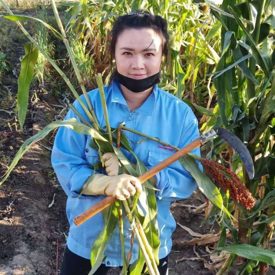 东北小莉 