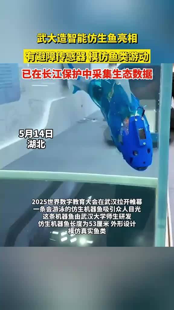 武大造智能仿生鱼亮相,有避障传感器 模仿鱼类游动