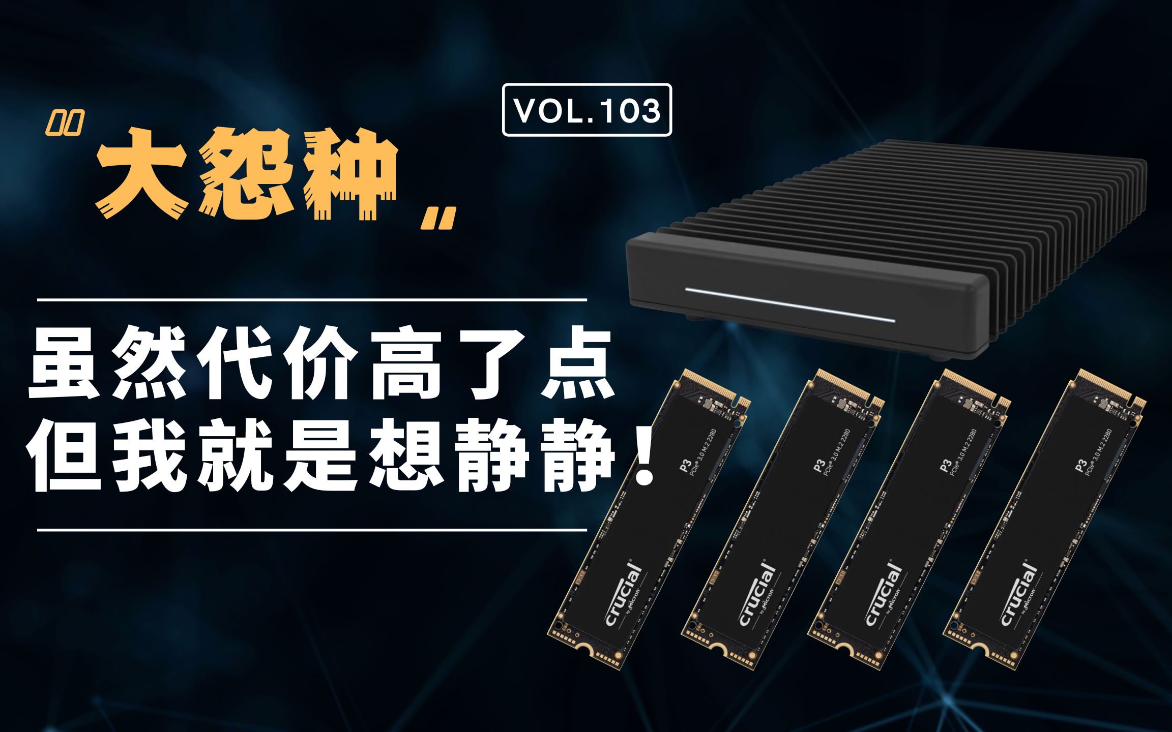 1.3万整了个硬盘盒,我只想静静